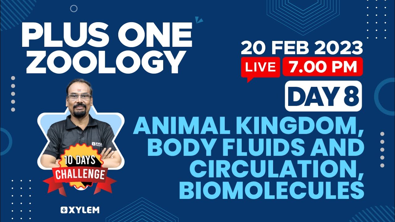 Plus One Zoology | Animal Kingdom, Body Fluids And Circulation ...