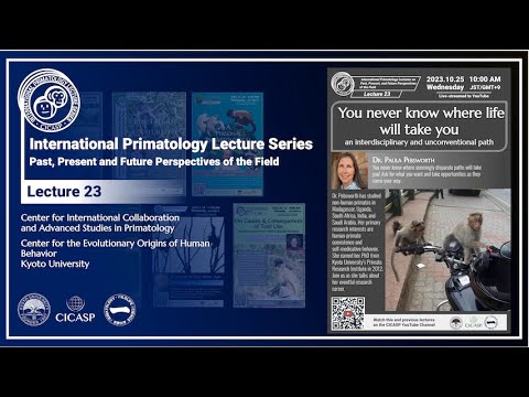 International Primatology Lecture 23 - Dr. Paula Pebsworth - YouTube