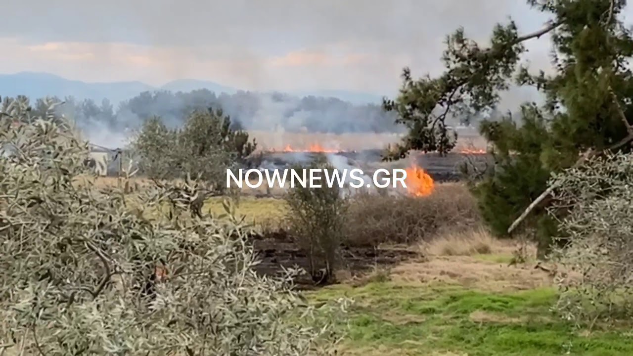 Φωτιά σε αγροτική περιοχή μεταξύ του Ραχωνίου και του Πρίνου Θάσου ...