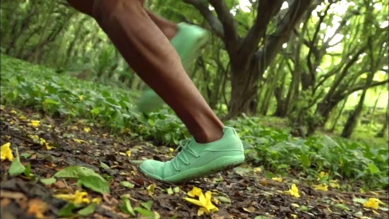 Introducing FLOW video - YouTube