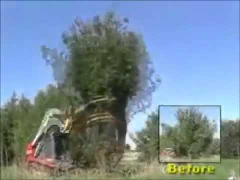 Ağaçlara Şekil Veren Değişik Makina