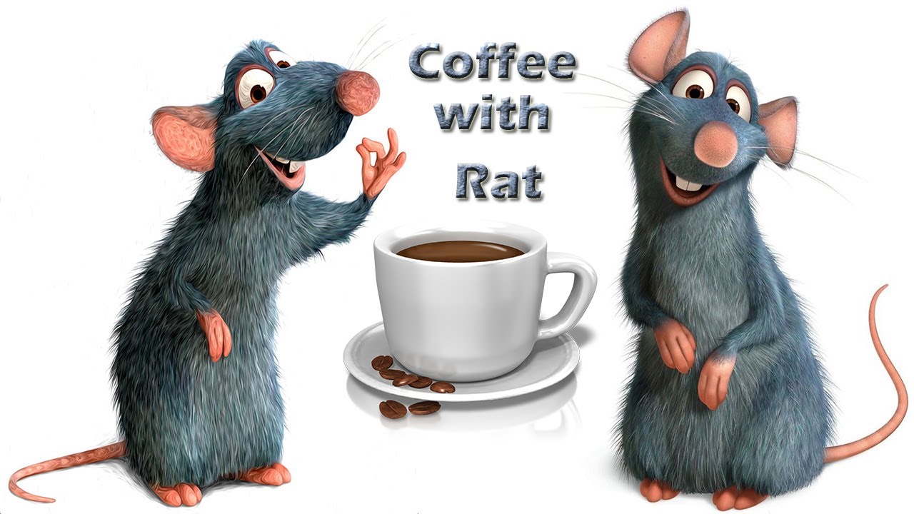 Coffee with Rat // Rat Cafe //चूहे के साथ कॉफी.. - YouTube