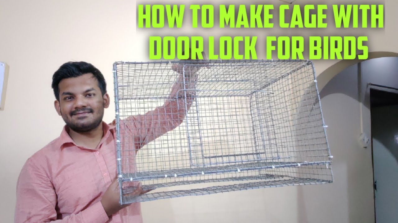 Building a Bird Cage with a Door Lock: A Step-by-Step Guide || DIY Cage ...