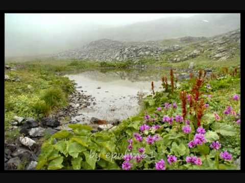 MIROLOYIS Rumca Ağıt - Seyfettin Çakiral