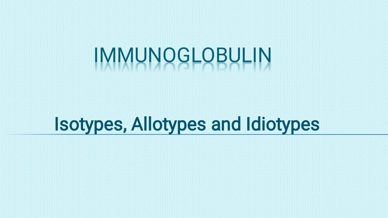 Differences between Isotype, Allotype and Idiotype | Antigen ...