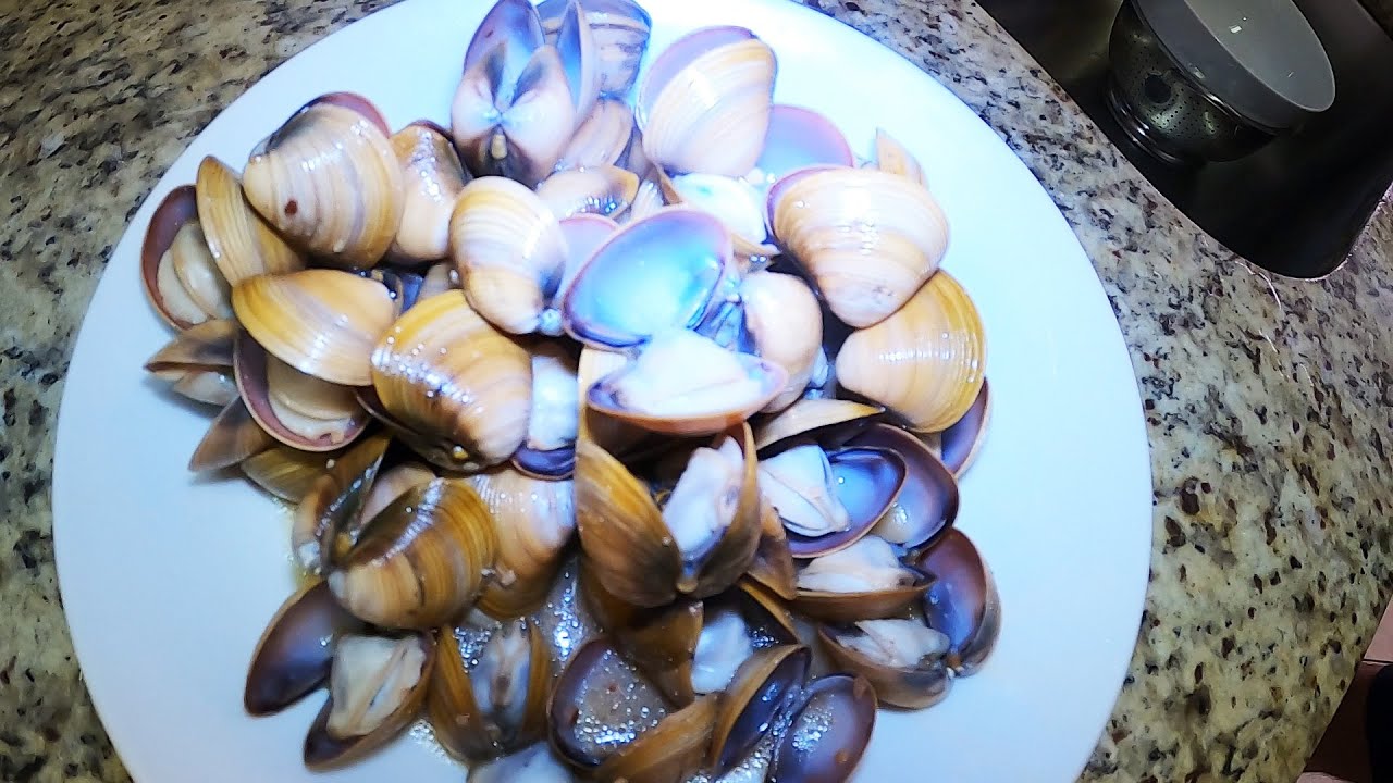 INVASIVE Freshwater Asian Clams | Catch Clean & Cook - YouTube
