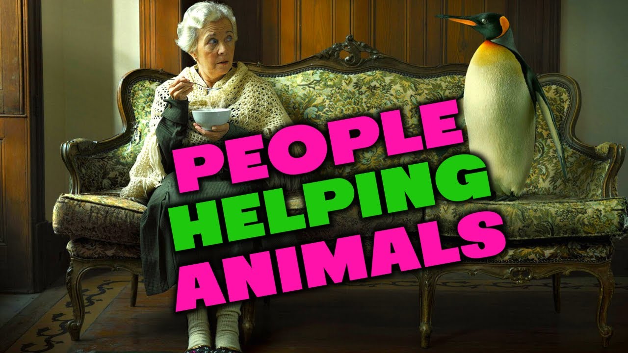 People Helping Animals | Rescue Animals | Animals That Make Good ...