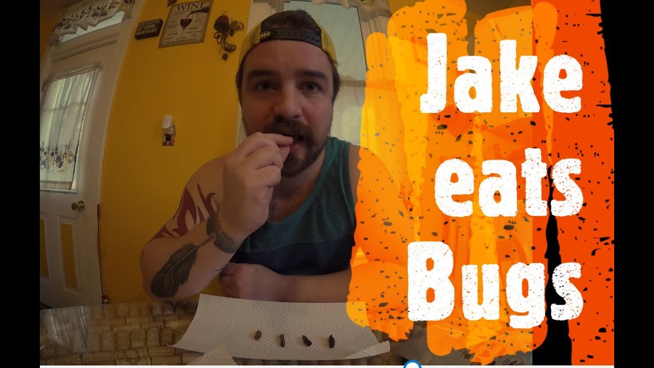 Jake eats Bugs - YouTube