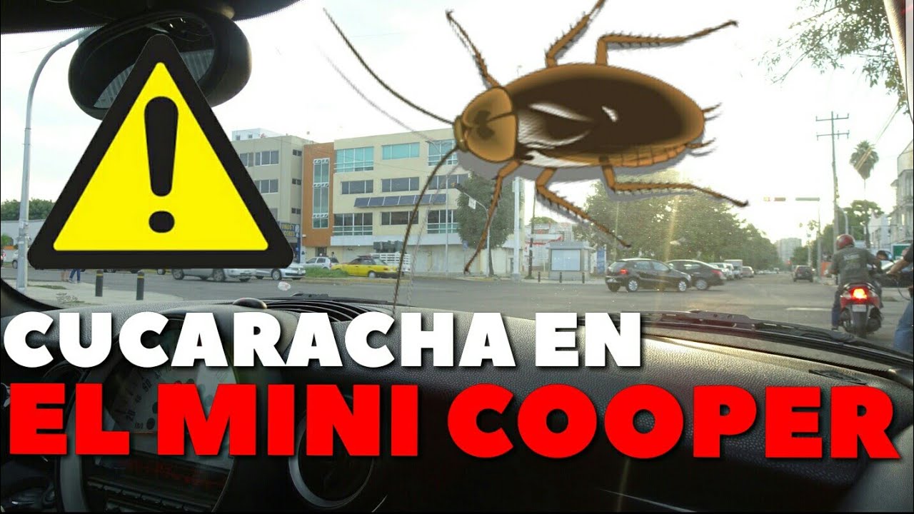 SE NOS SUBIO UNA CUCARACHA AL CARRO! | ManuelRivera11 - YouTube