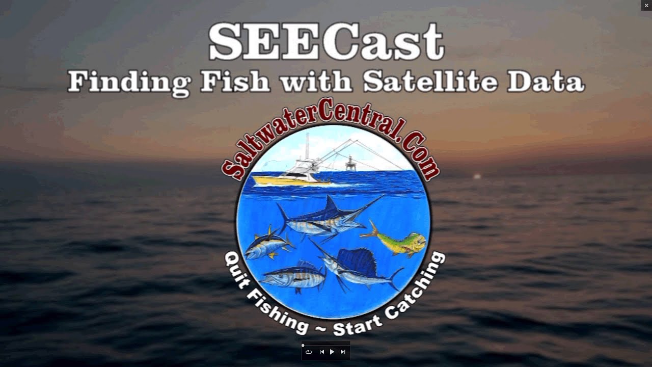 SEECast: Finding Fish with Satellite Data - YouTube