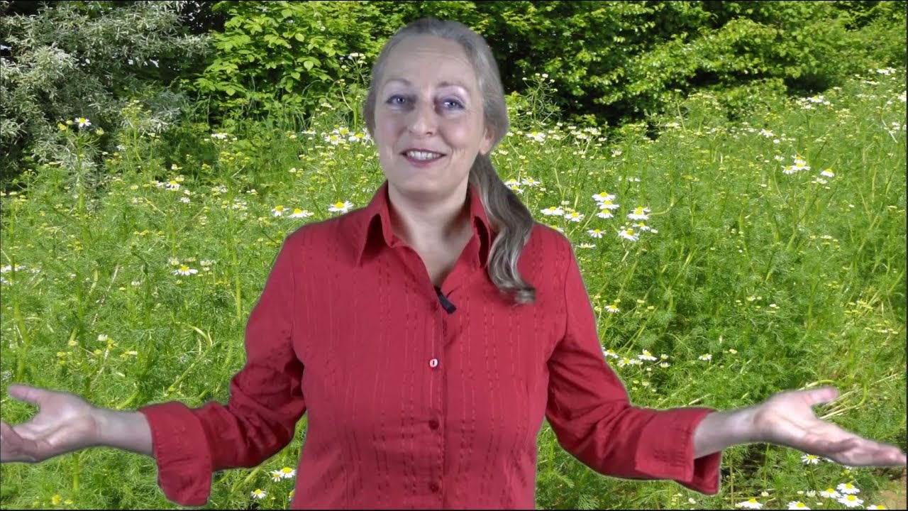 Naturheilpraxis Steffi Engel - YouTube