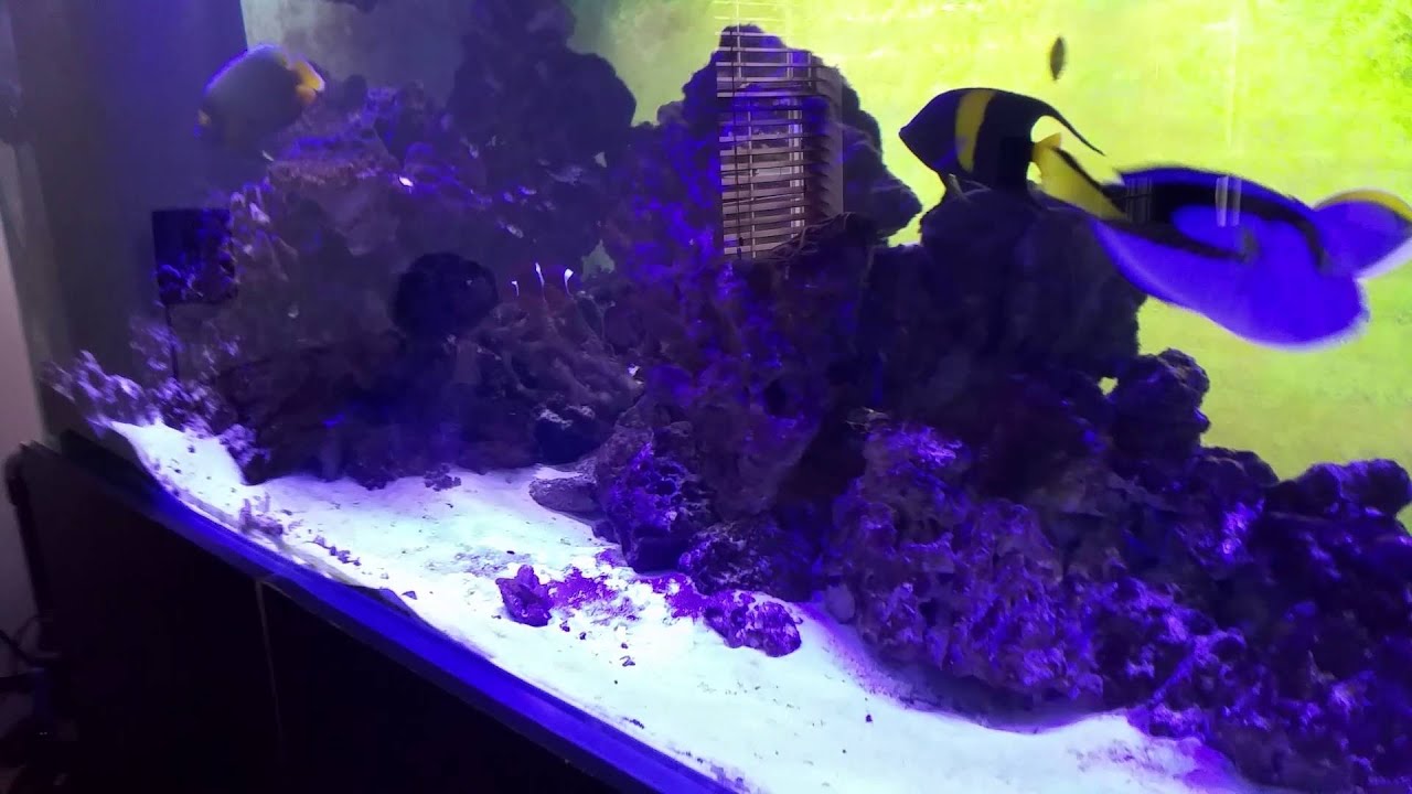 600 gallon fowler tank - YouTube