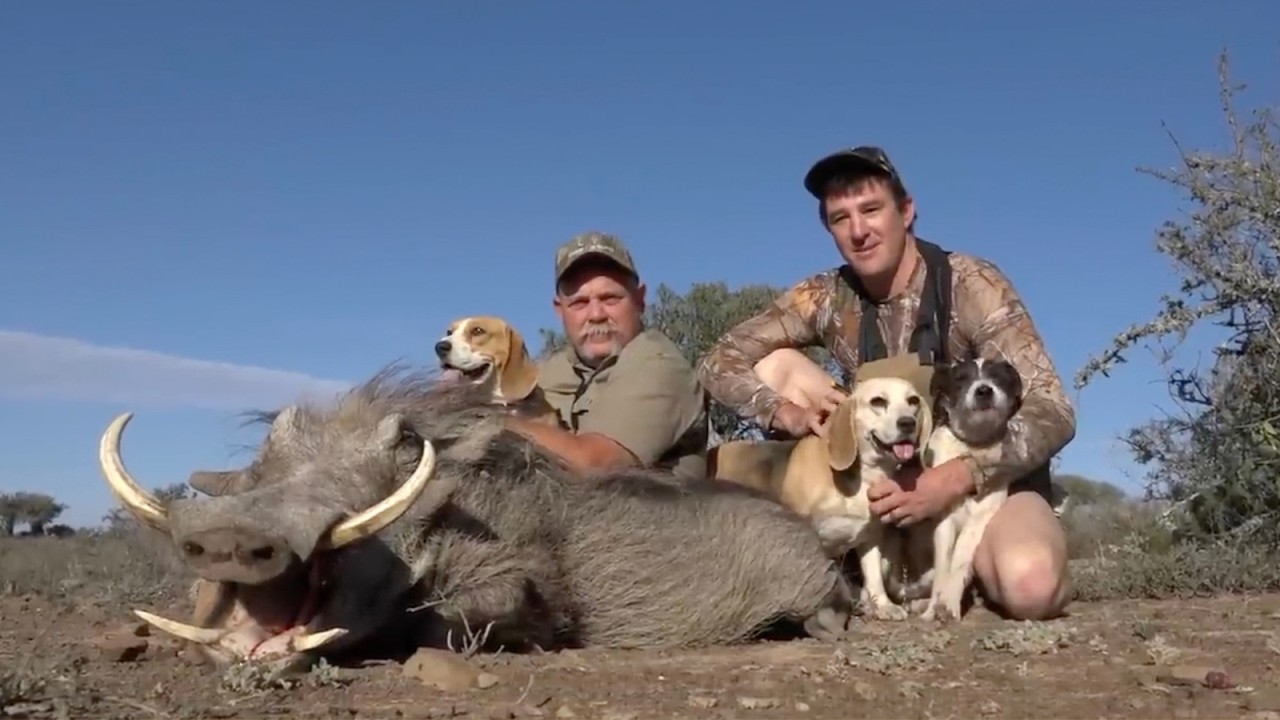 The Thrill of Warthog Hunting - YouTube