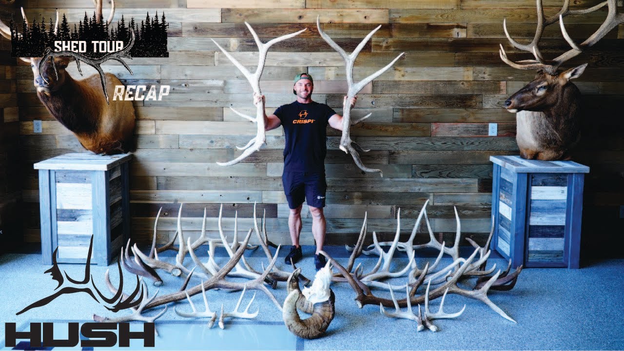 SHED TOUR | OUR BEST SHEDS OF THE YEAR - SEASON RECAP | S3E39 - YouTube