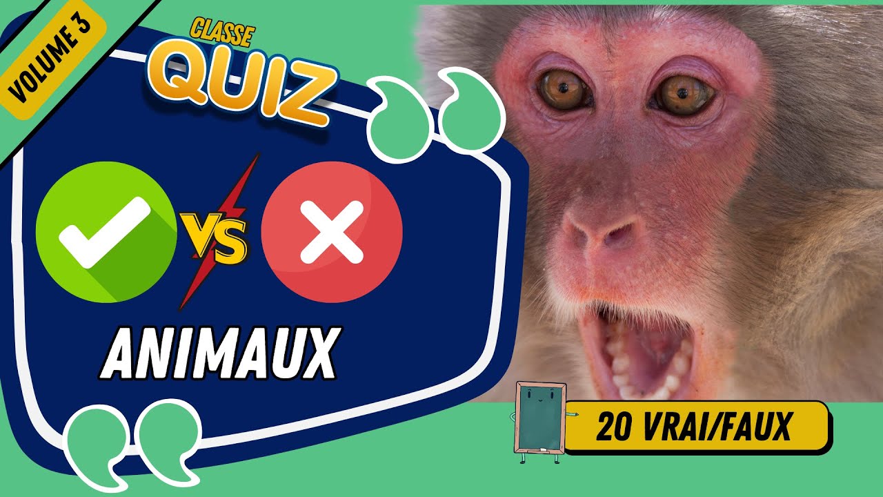 Quiz sur les animaux vrai ou faux insolites volume 3 - YouTube
