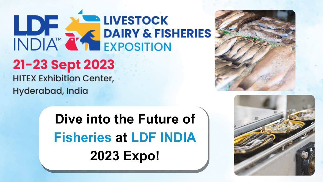 Dive into the Future of Fisheries at LDF INDIA 2023 Expo! - YouTube