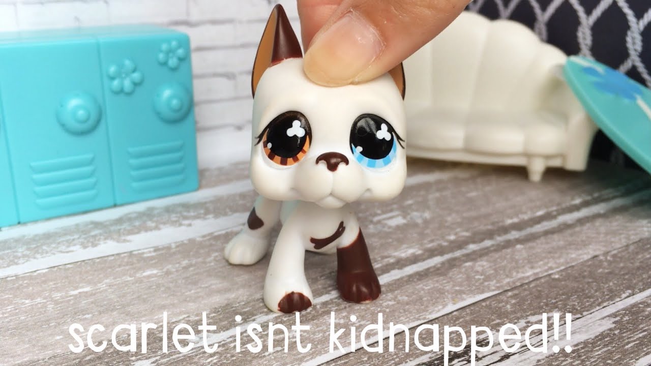 LPS: Scarlet isn't Kidnapped! (theory) | lps kitkat ♡ - YouTube