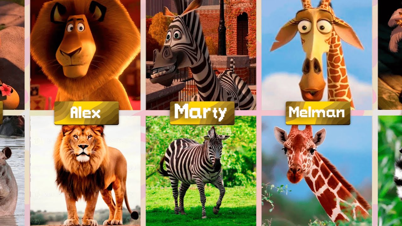 Madagascar Characters in Real Life! 🦁 You Won’t Believe They Actually Exist - YouTube