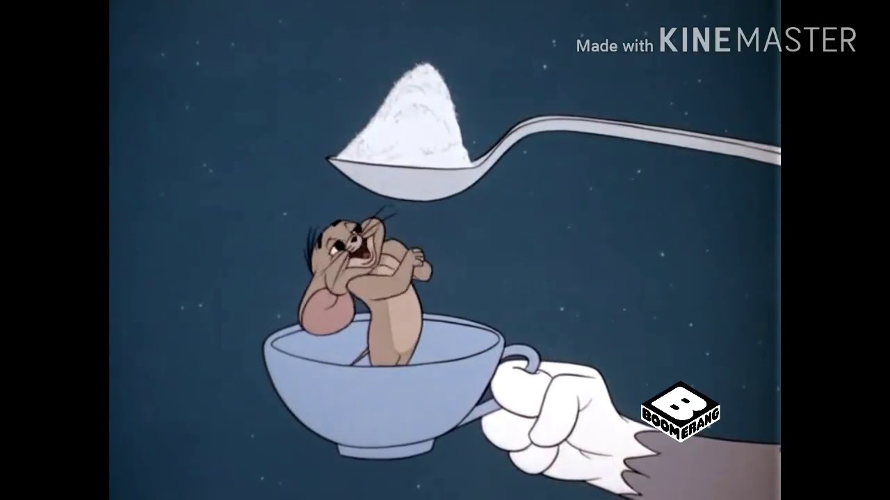 2015 Boomerang Screen Bug (Cat & Dupli Cat) - YouTube