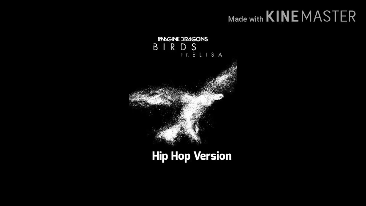 BIRDS (Hip Hop Version) - YouTube