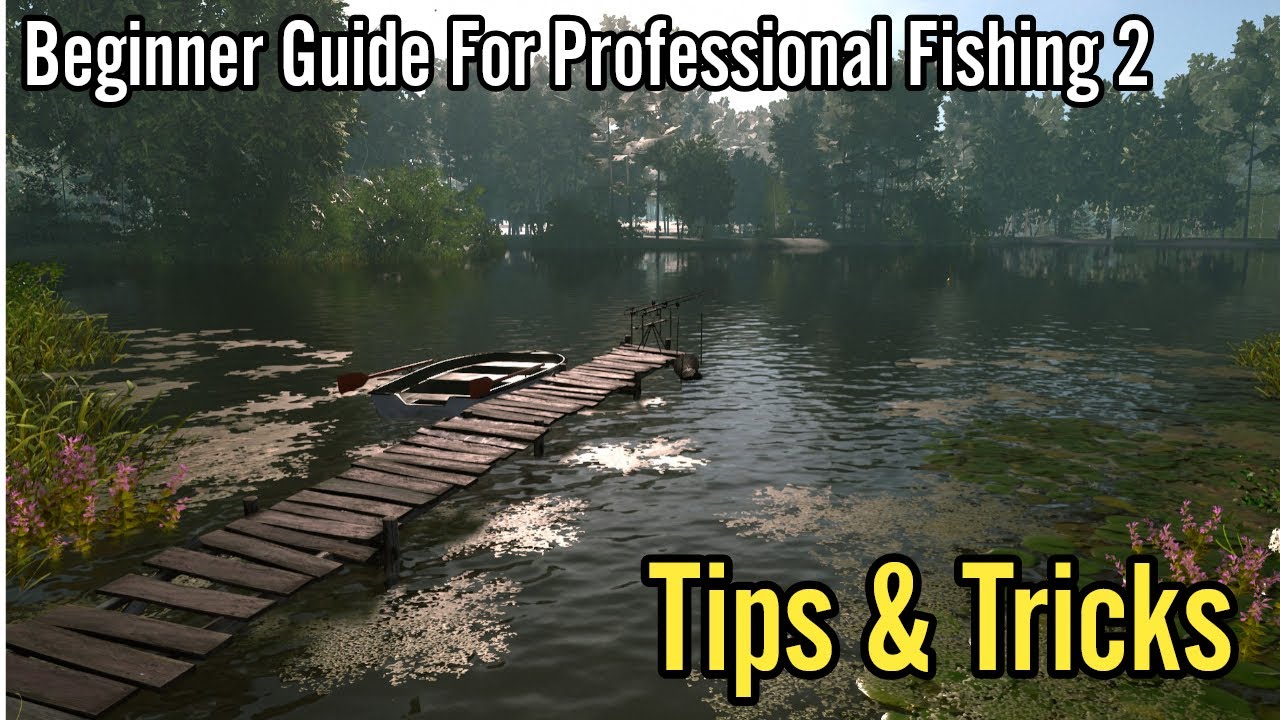 Beginner Guide For Professional Fishing 2, Tips & Tricks - YouTube