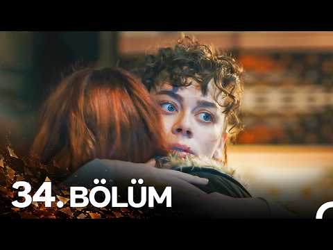 Avlu 34. Bölüm | Sen Yaşıyorsun!