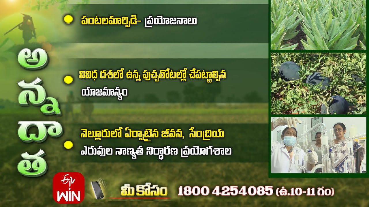 23rd May 2025 | Annadata | అన్నదాత | Full Episode | ETV - YouTube