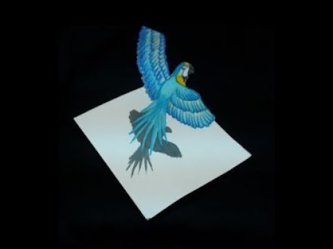 3d drawing parrot - art class mate - YouTube