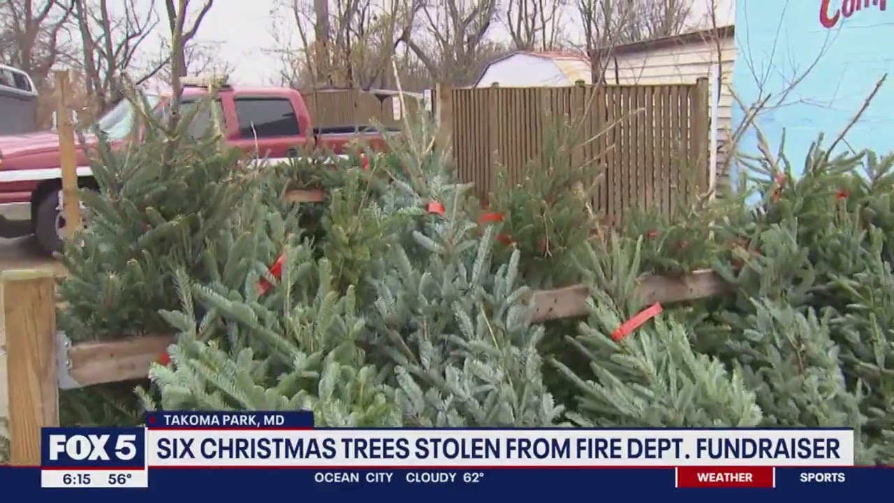 Six Christmas trees stolen from Takoma Park fire department fundraiser ...