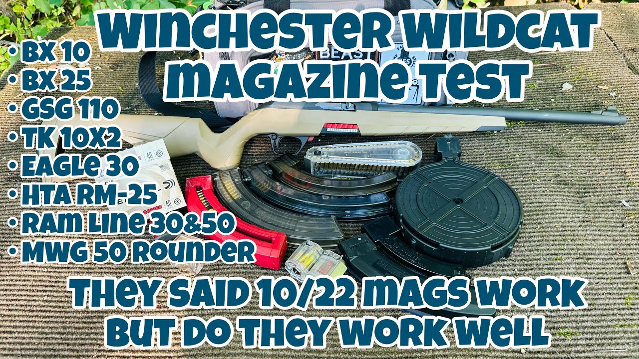 Testing All Of My Ruger 10/22 Magazines In A Winchester Wildcat - YouTube