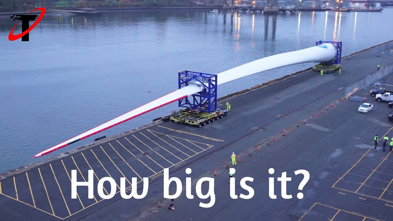 30 Things That Are Bigger Than You Think YouTube 30-things-that-are-bigger-than-you-think-youtube