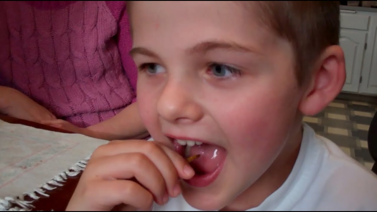 Eating Worms, Crickets, and Scorpions - YouTube