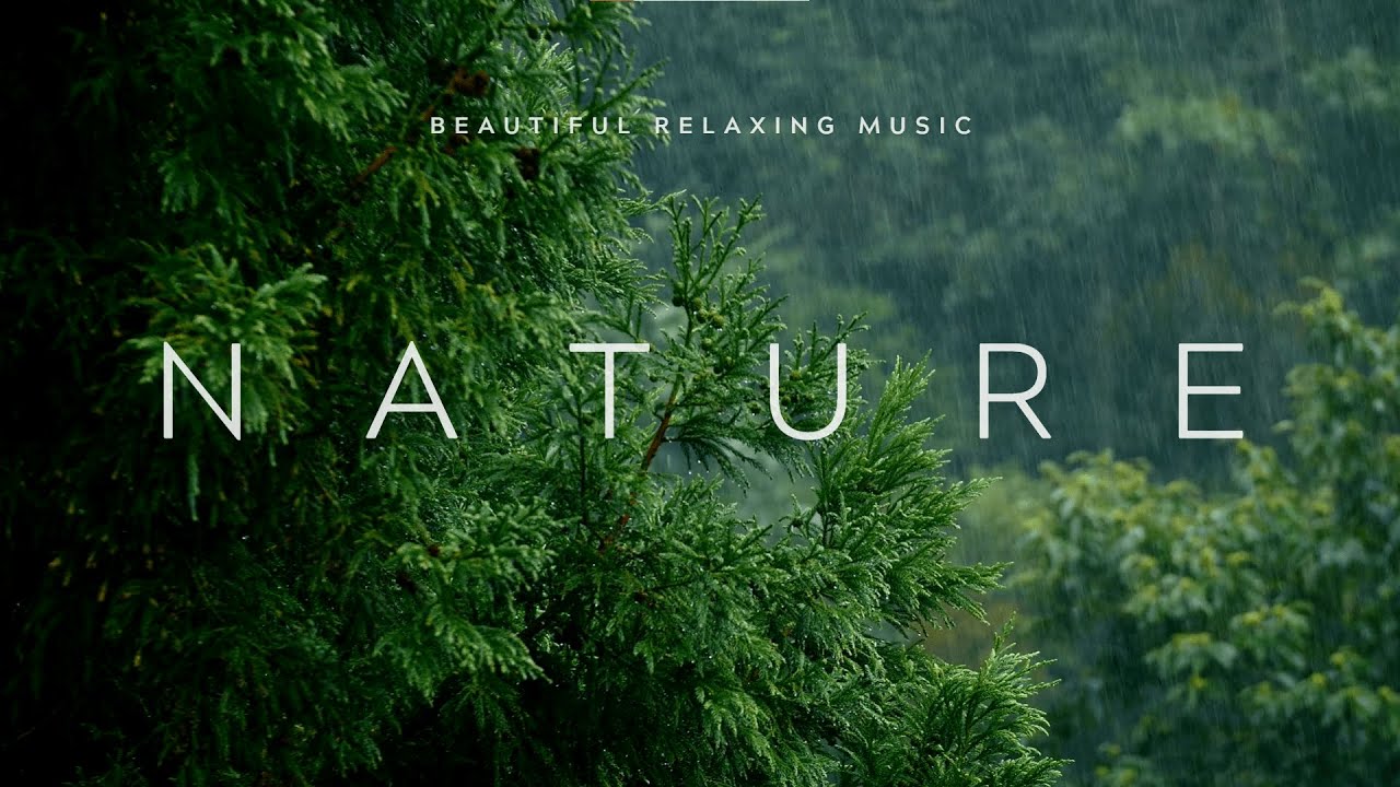 [NO ADS] Beautiful Relaxing Music | 4K Nature Scenes [No Copyright ...