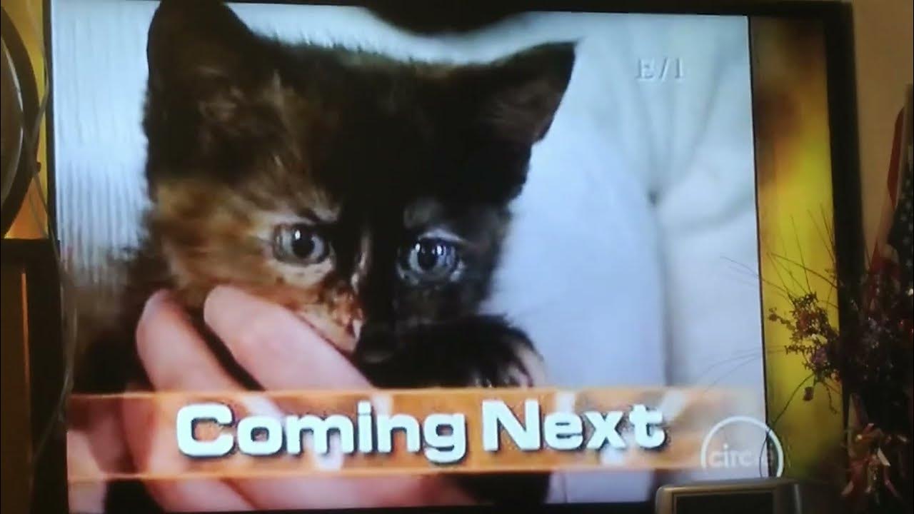 WRNN-TV 48.2 Circle TV Animal Rescue Family Editon Teaser and Intro ...