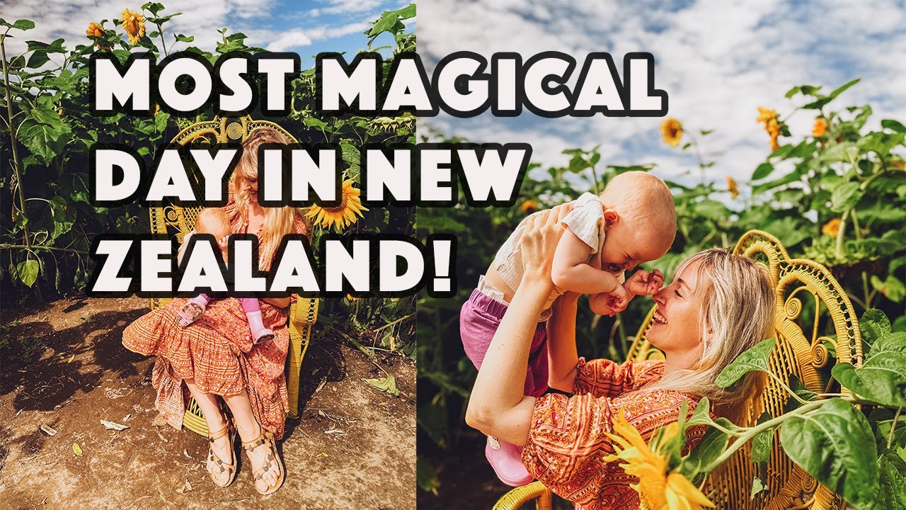 NZ Road Trip: Exploring Waikato, New Zealand - YouTube