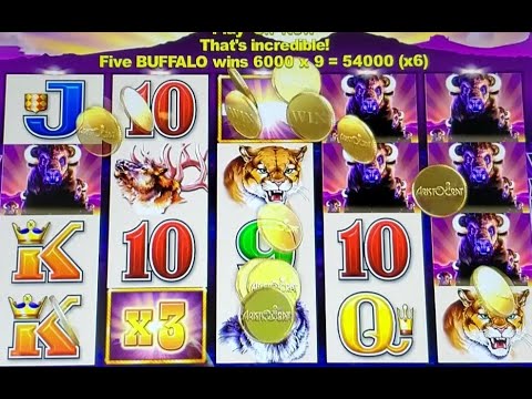 Biggest Classic Buffalo Jackpot on Youtube on Penny Denom!? Massive Jackpot with @ShinobiSlots ...