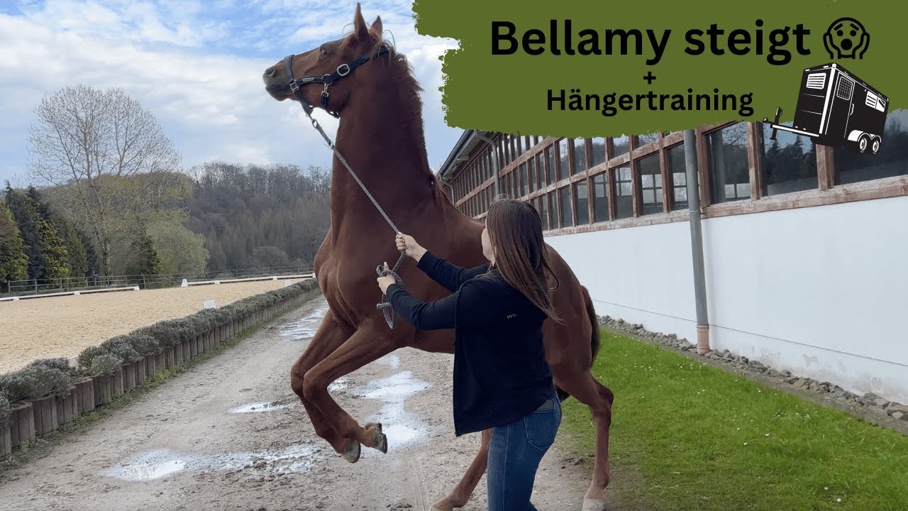 Hängertraining mit Bellamy ️ | Marina Schuster - YouTube