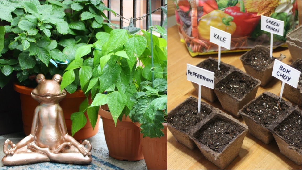 Planning My Balcony Garden | Grow Your Own Food - YouTube