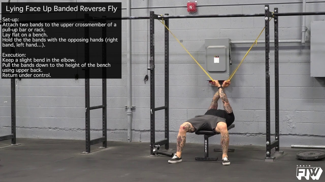 Lying Face Up Banded Reverse Fly - YouTube