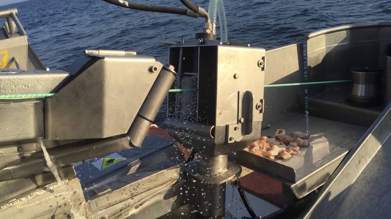 Oilwind Autoline hauler 07-22 and Bait cleaner - YouTube