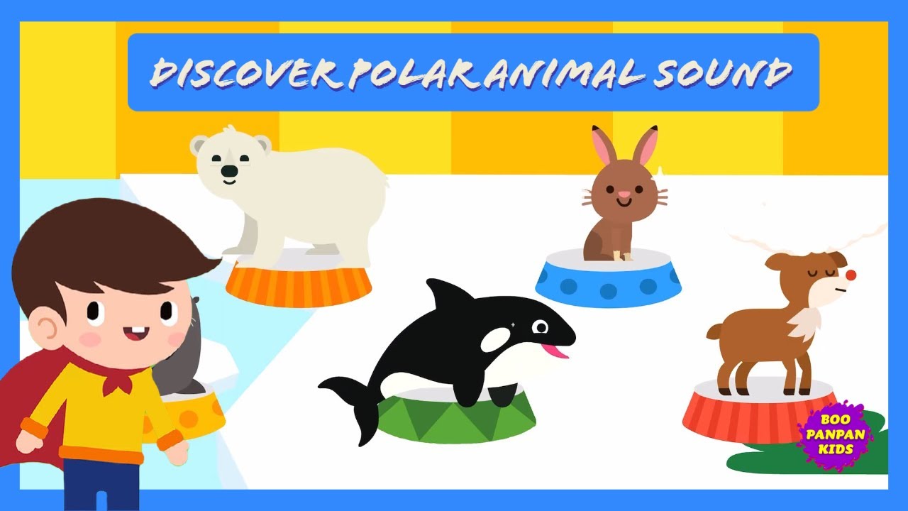 Discover Polar animal sound Papumba academy|Boopanpankids - YouTube