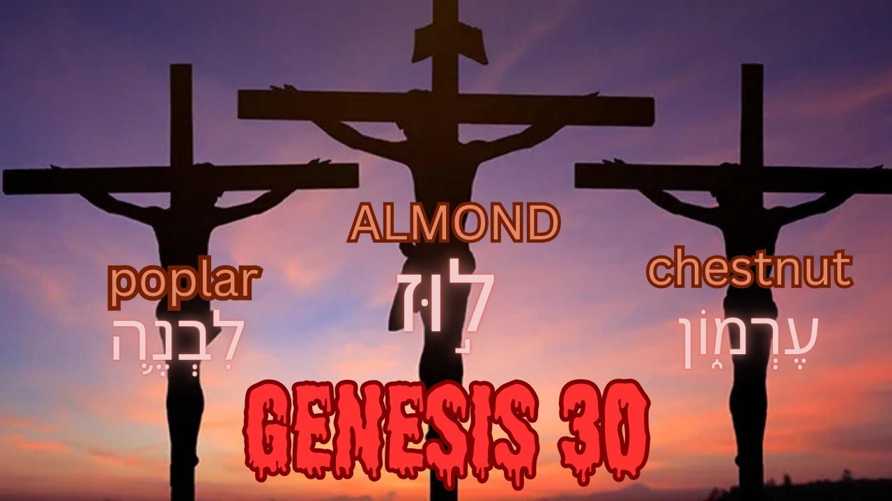 Watch for the Rod of an Almond Tree! Rapture Soon! Part 2 - YouTube