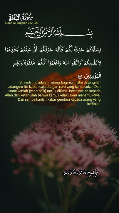 Surah Al Baqarah 1 286 Part 106 Ayat 222 223 Bersambung Youtube