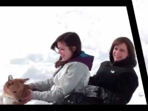 Champ the Corgi Sled Dog - YouTube