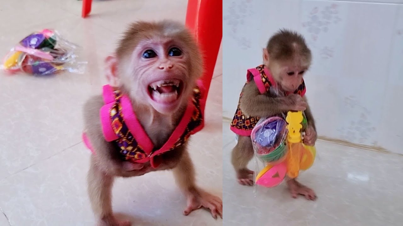 BeeBoy Talk Backward to Mom Unsatifly with Her Unallow Him to Play His ...