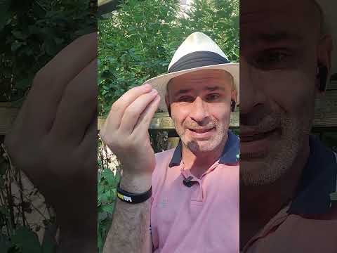 ЛАМАЗ В ОБЩЕСТВЕННЫХ МЕСТАХ.  ( ДЛЯ ЧЕЧЕНЦЕВ) 