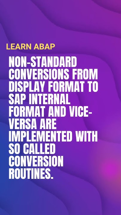 What Are Conversion Routines In Sap Abap Abap Sapabap Abapinterviewquestionsdomain Youtube