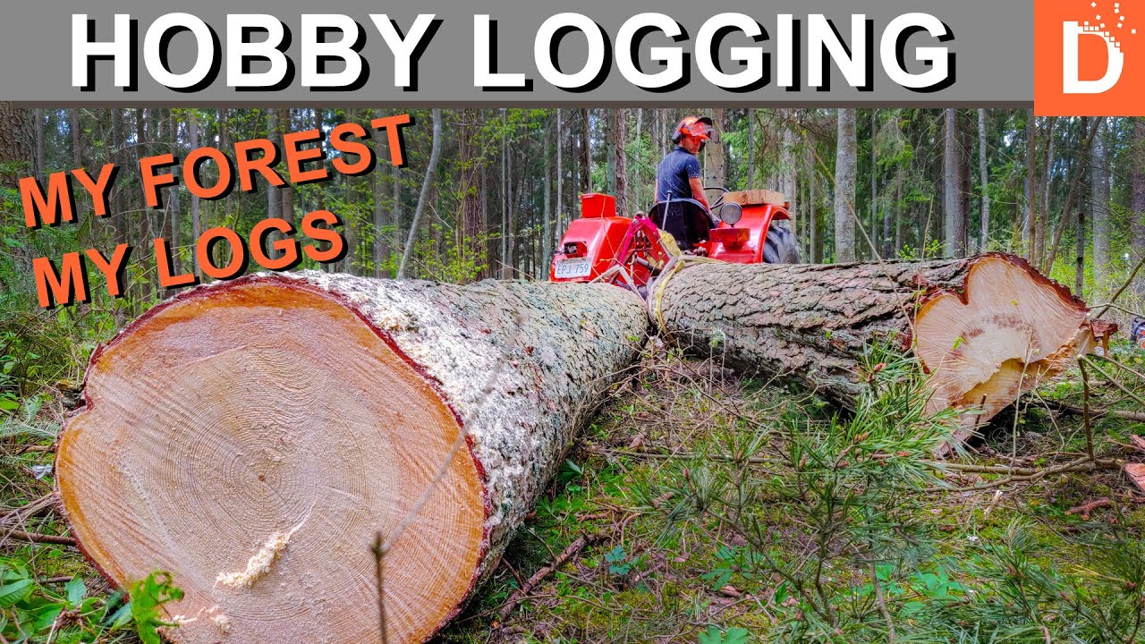 Hobby Logging - YouTube