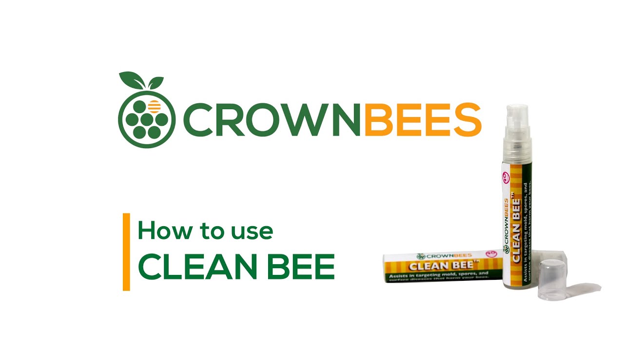 How to use Clean Bee™ Solution for cleaning mason bee cocoons - YouTube