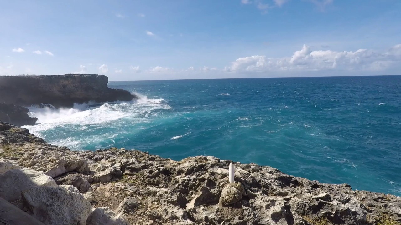 Animal Flower Cave Restaurant Timelapse - YouTube